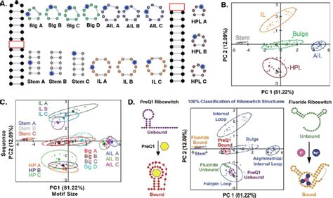 A The 16 Rna Training Set Sequences Including Stems Bulges Blg