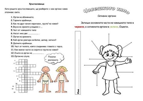 Правопис йо ьо работен лист Docx