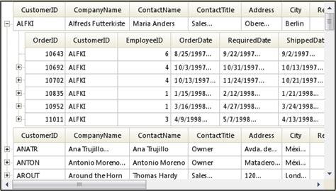 Wintree を階層的なデータ ソースにバインド Infragistics Windows Forms™ ヘルプ