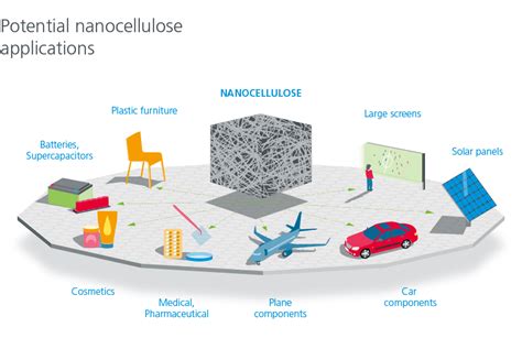 Nanocellulose In Biomaterials Sciences