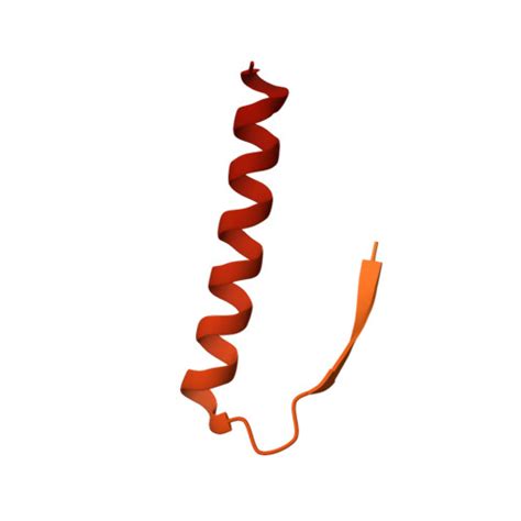 Rcsb Pdb 8bny Structure Of The Tetramerization Domain Of Pls20