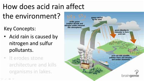 Acid Rain Effects On Humans
