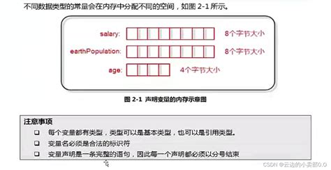 编程基石：理解变量、常量及命名规则 Csdn博客
