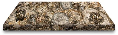 Should You Consider A Petrified Wood Countertop For Your Kitchen Design