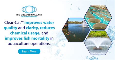 Bio Organic Catalyst Inc On Linkedin Aquaculture Bio Organic