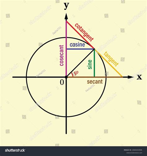Trigonometric Functions Education Science Formula Vector Stock Vector