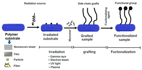 Functional Polymeric Biomaterials Prepared By Rigc Encyclopedia Mdpi
