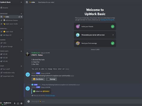 a fully designed and customizable discord server including bots roles