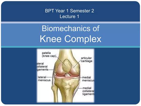 1. biomechanics of the knee joint basics | PPTX