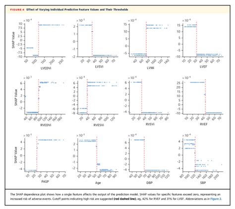 一个可解释的机器学习模型 生存分析 Jacc Cardiovascular Imaging If 14） 知乎