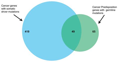 Realising The Promise Of Cancer Predisposition Genes Pmc