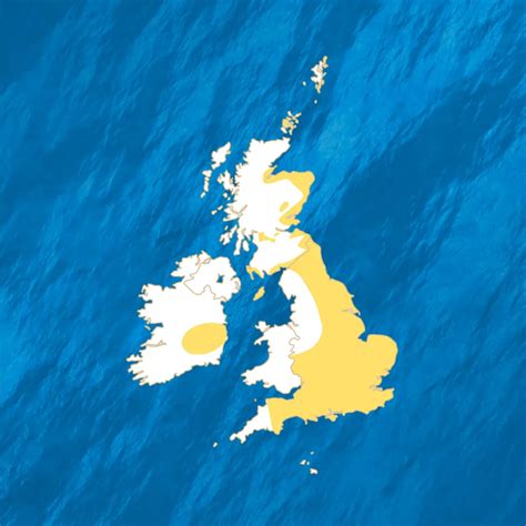 Quail Bird Facts Coturnix Coturnix
