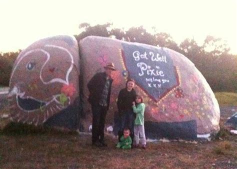 Pixie Fitzgerald Support Page