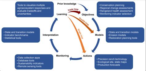 Collaborative Adaptive Management Cycle Including Single‐loop