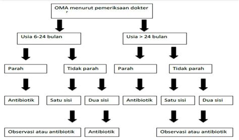 Otitis Media Akut Milis Sehat