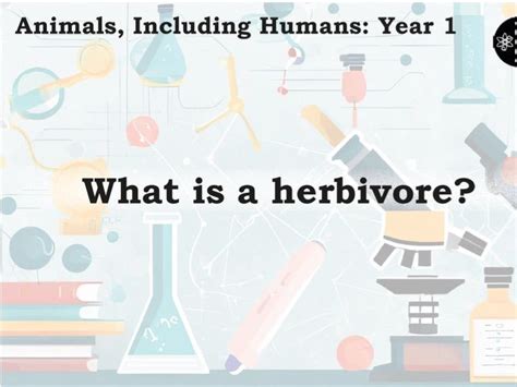 Science Quiz Cards Teaching Resources