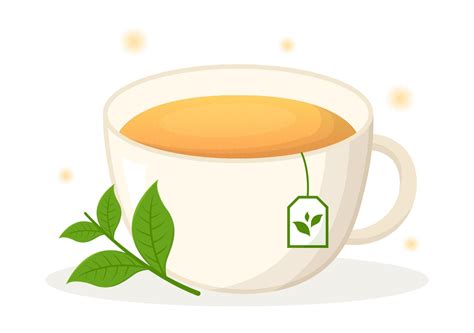Té De Hierbas Con Hojas De Manzanilla De Bebida Saludable Verde Para Aumentar La Resistencia En