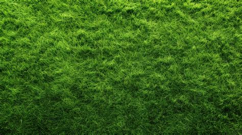 Aesthetic Overhead View Of Artificial Grass Soccer Field Textured