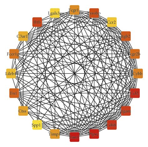 Identification And Functional Enrichment Analysis Of Hub Genes A E