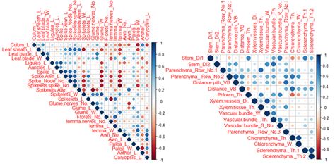 Corralationcorrelation Of The Quantitative Traits Positive