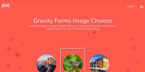 gravity forms image choices pluginizer