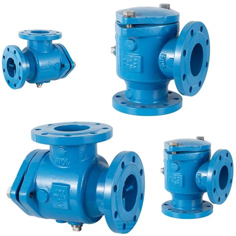 Pn16 Ansi Standard Flange End Ductile Iron Pump Suction Diffuser Strainer Filter Valve Suction