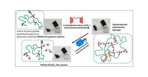 Injectable Electroactive Hydrogels Formed Via Hostguest Interactions Acs Macro Letters