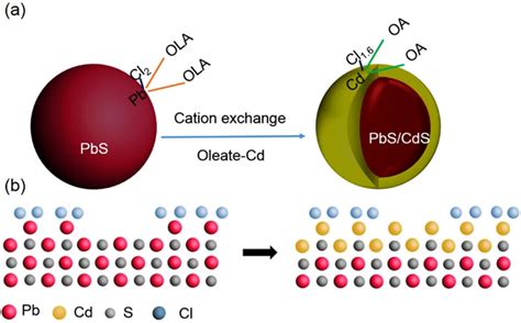 A Scheme Of Surface Chemical Compositions In Pbs Qds And Core Shell Download Scientific