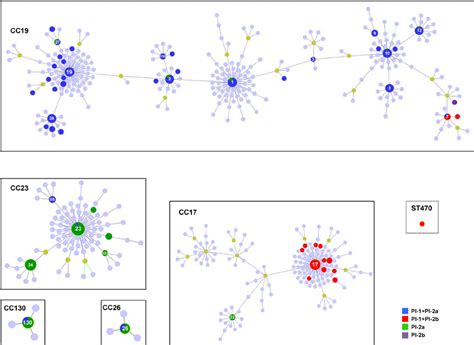 goeburst diagram of pi distribution among the gbs isolates