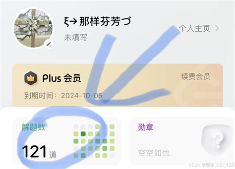 打卡第23天 回溯算法 Csdn博客