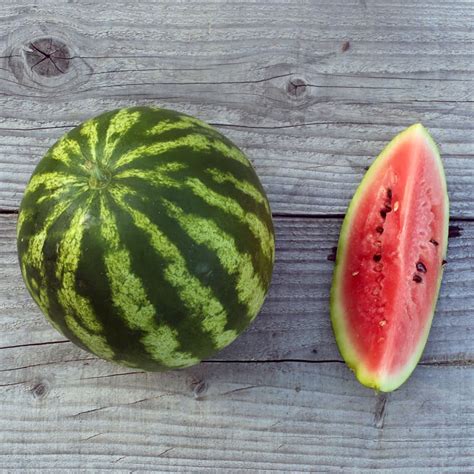 Pastèque Noire Mini Fr Byo Votre Magasin Naturel Et Bio