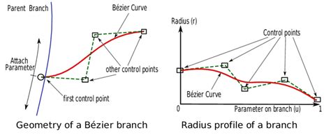 On The Left The Bézier Curve Representing A Branch With Its Attachment