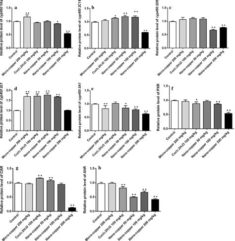 Protein Expression Of Nuclear Receptors And Cyp Enzymes Quantification Download Scientific
