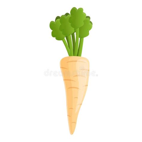 Vitamin Parsnip Icon Cartoon Style Stock Vector Illustration Of Herb