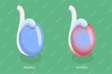 Premium Vector 3d Isometric Flat Vector Conceptual Illustration Of