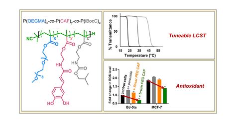 Synthesis Of Thermoresponsive Catechol Rich Polyethylene Glycol Brush Polymers For