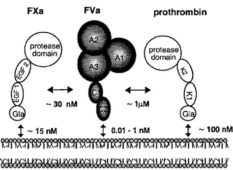 Sbi Structural Bioinformatics