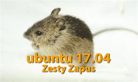 Ubuntu 17 04 Zesty Zapus Empieza Su Fase De Desarrollo