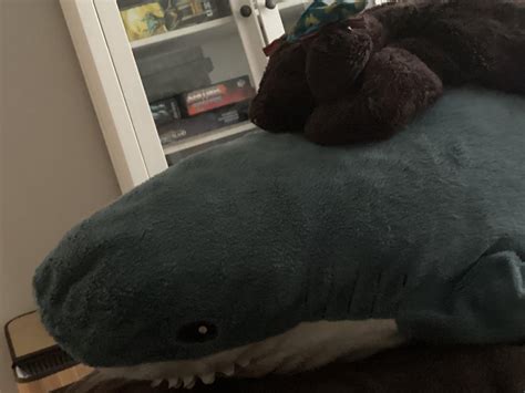 Bedroom Blåhaj surprise : r/BLAHAJ