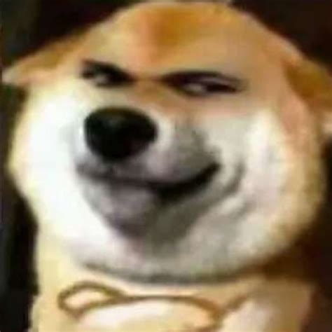 C 入门课程编程实战微课w3cschool