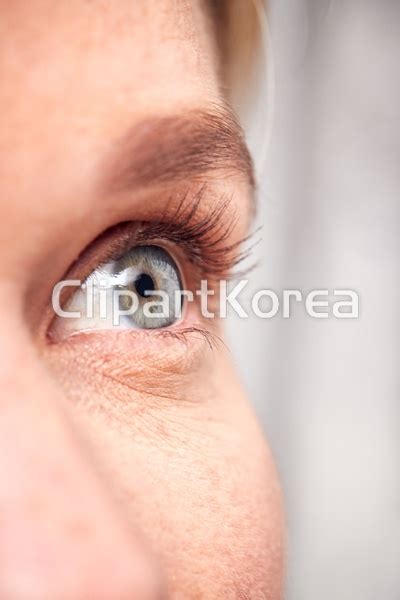 해외작가포토 클립아트코리아 통로이미지 주