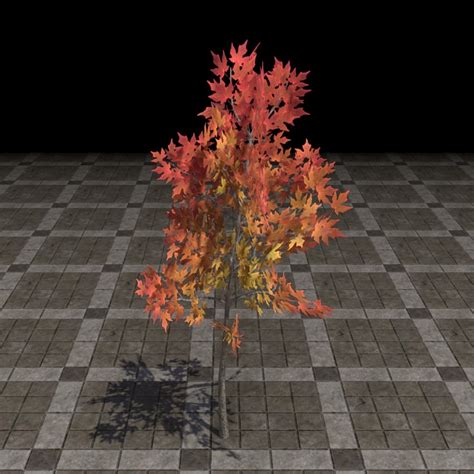 Onlinesapling Young Autumn Maple The Unofficial Elder Scrolls Pages