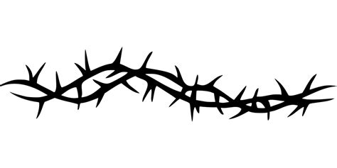 Svg Thorns Vine Spine Decoration Free Svg Image And Icon Svg Silh