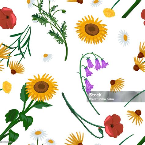 야생의 꽃 만화 벡터 Seamless 패턴 해바라기 콘플라워 카모마일 양귀비 블루벨 민들레의 장식 드로잉에 대한 스톡 벡터 아트 및 기타 이미지 Istock