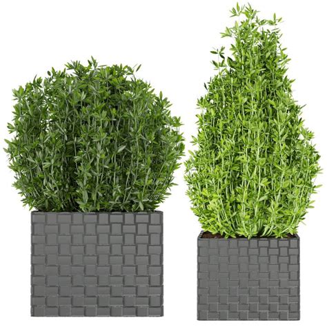 Artstation Collection Plant Vol 22 Leaf Blender 3dmax Cinema