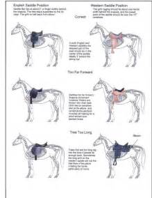 How To Sit In A Western Saddle While Galloping At Joshua Mabon Blog