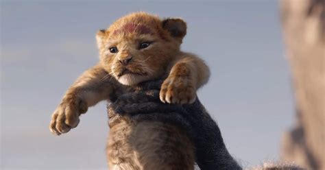 Lion King Delivers And Will Leave You Smiling And Crying As Timon