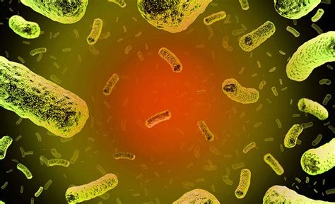 Keeping Listeria On The Run Implementing An Effective Monitoring