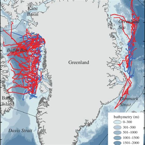 Map Of Movements Of Polar Bears In Two Subpopulations Baffin Bay And