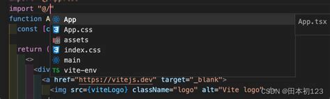 ReactVite创建React TS项目 vite react ts CSDN博客